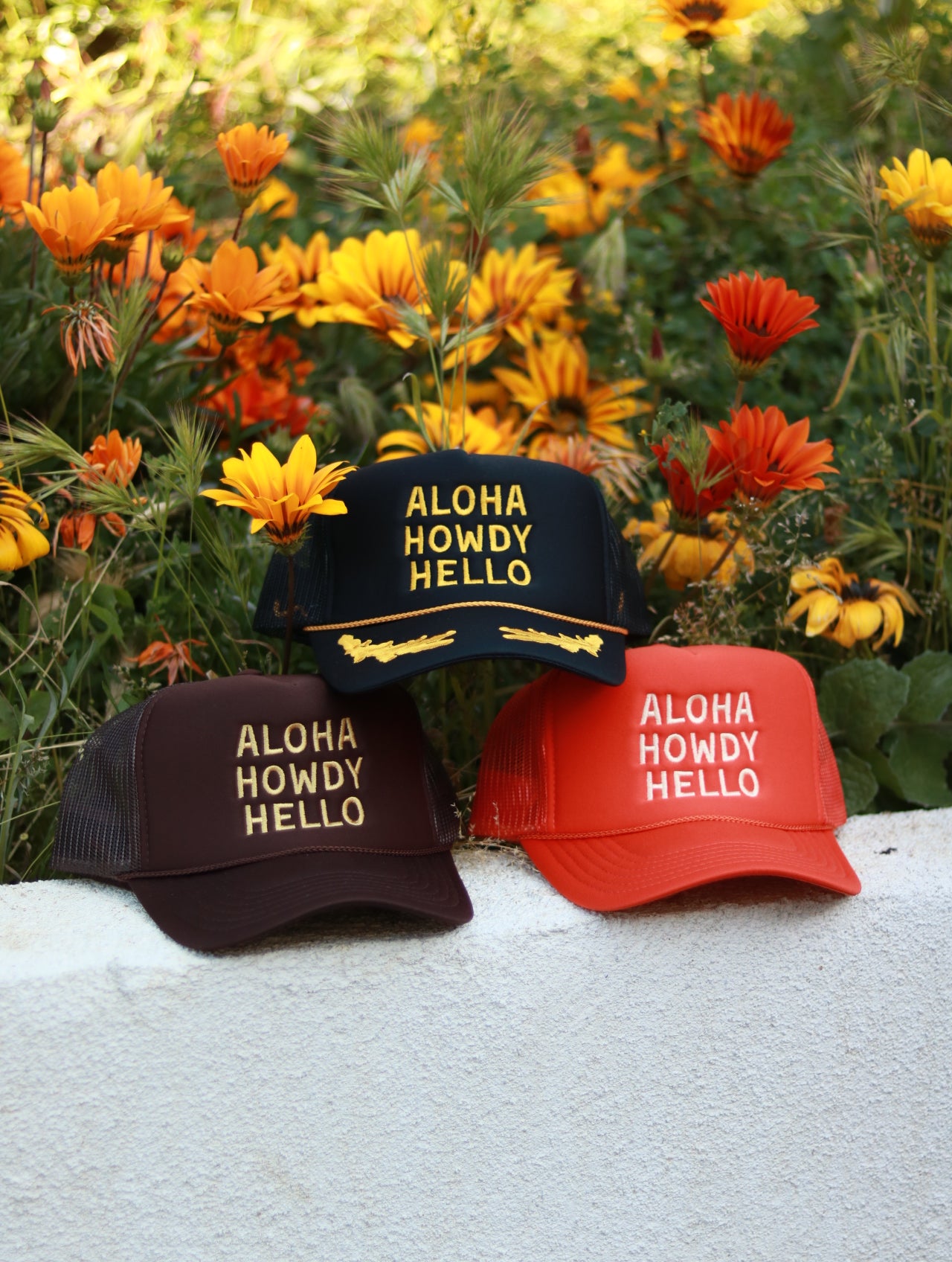 Aloha Howdy Hello – ElectricLabel